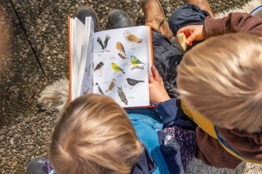 Eine Entdeckung "Die Natur" – ichsowirso
